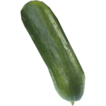 Gurken & Cornichons | www.kcb-samen.ch